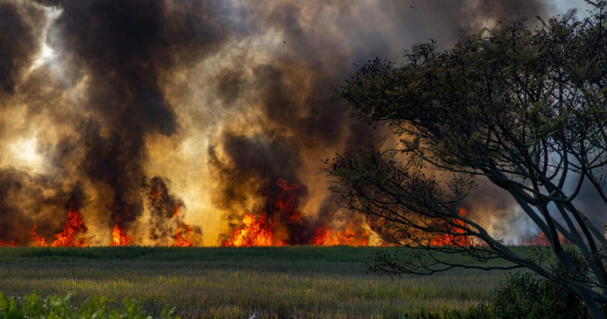Farm Fire Safety in Spring: Preventing Agricultural Fires Across ...